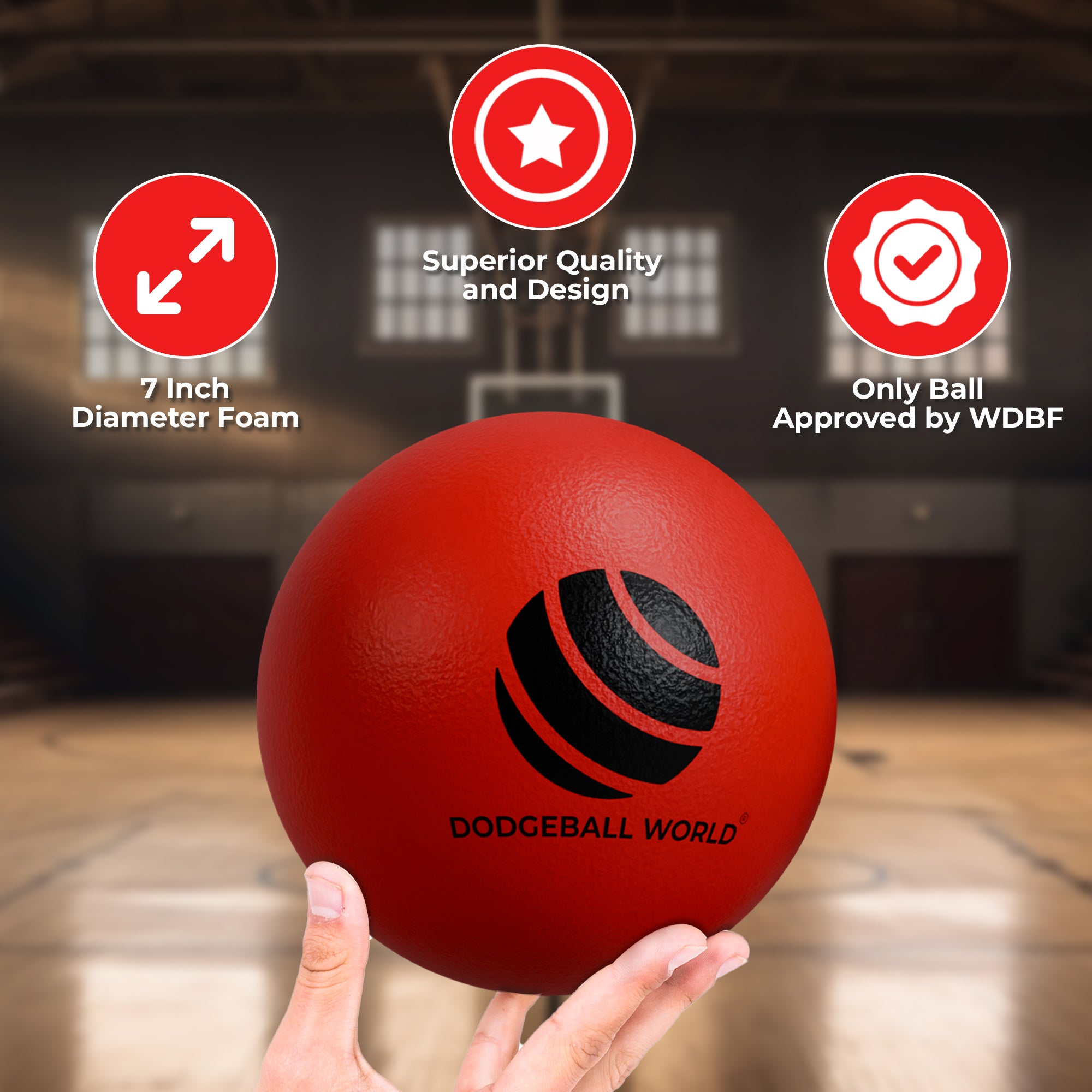 Dodgeball Ball Size